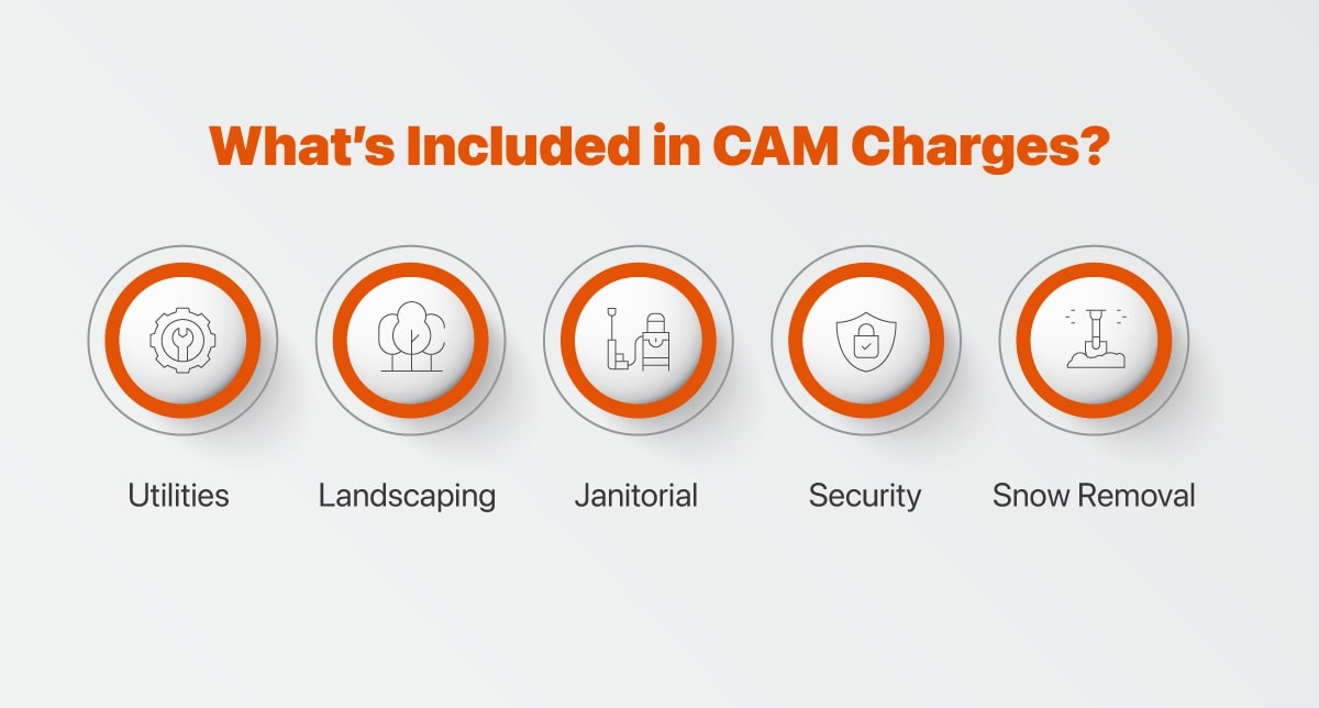 CAM Audit Checklist: What to Expect and Prepare